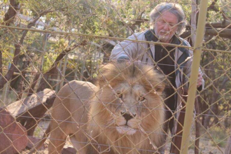 Game Reserve Owner Nicknamed 'Lion Man' Mauled To Death By Lions
