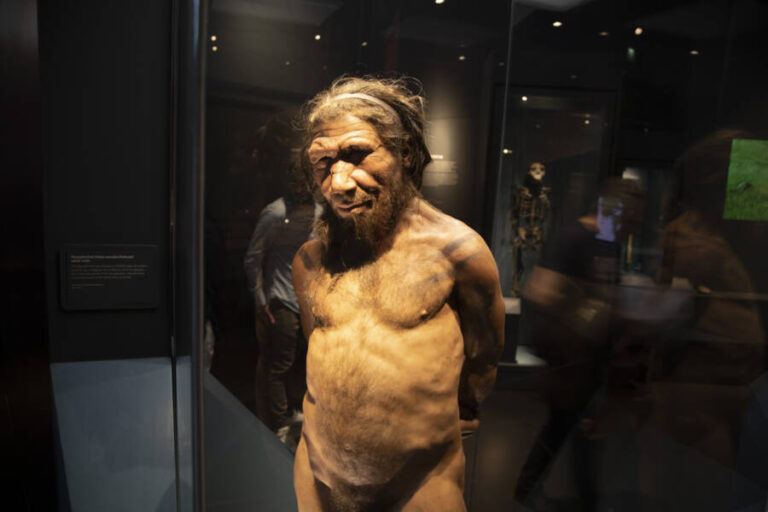 What Are Neanderthals Meet Humanitys Relative Who Went Extinct 40 000
