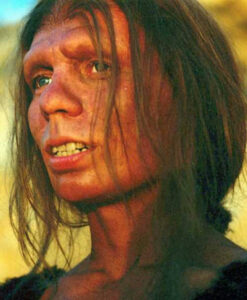 What Are Neanderthals? Meet Humanity's Relative Who Went Extinct 40,000 ...