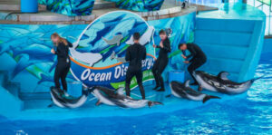 Shocking Animal Abuse Uncovered At Hundreds Of Zoos And Aquariums