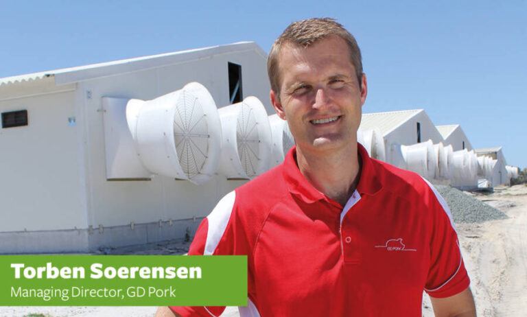 Illegal Pig Semen Syndicate Caught Smuggling Sperm Into Australia