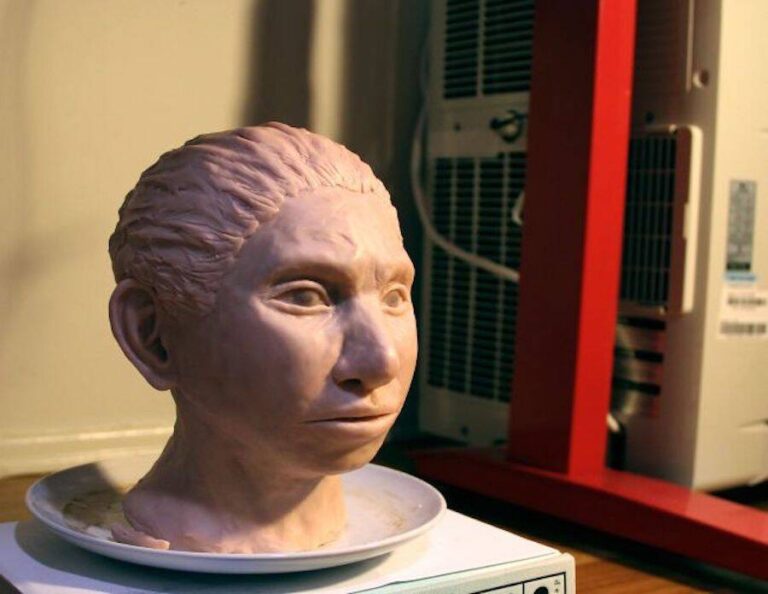 Denisovan Facial Reconstruction Reveals How Our Ancestors Looked
