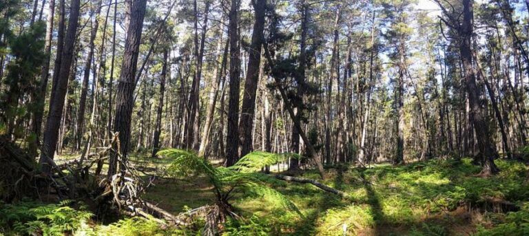 Ivan Milat, Australia's 'Backpacker Murderer' Who Butchered 7 Hitchhikers