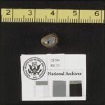 The Magic Bullet Theory Half A Century Later: How Crazy Is It Really?