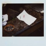 Kurt Cobain's Suicide Note: The Full Text And Tragic Story