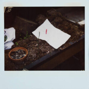 Kurt Cobain's Suicide Note: The Full Text And Tragic Story