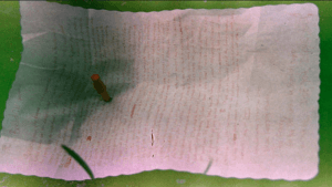 Kurt Cobain's Suicide Note: The Full Text And Tragic Story