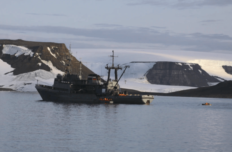 Mother Walrus Sinks Russian Naval Boat During Arctic Expedition