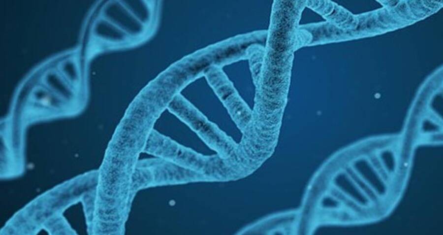 Study Finds 13,000 Britons Are The Result Of Extreme Inbreeding