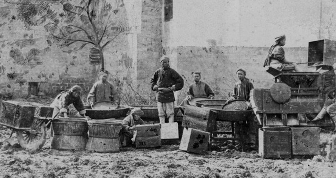 The British Botanist Who Destroyed 19th Century China's Economy By ...