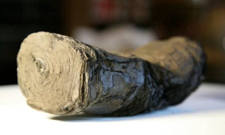 Ancient Scrolls Charred By Mount Vesuvius To Be 'Virtually Unraveled'