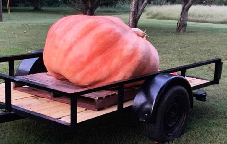 Watch This Farmer Paddle A 910-Pound 'Pumpkin Boat' On The Water