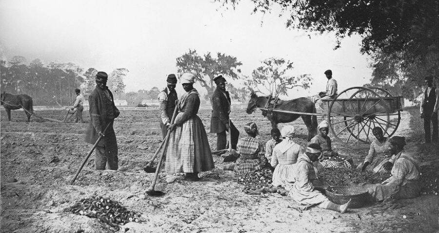 Underground Railroad: The Secret Network That Freed 100,000 Slaves