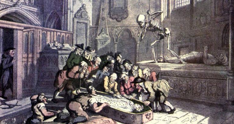 Body Snatching: A Blood And Guts History Of Modern Medicine