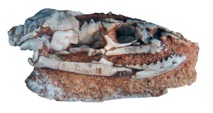 Michelle lapolla leaked of all of his descriptive