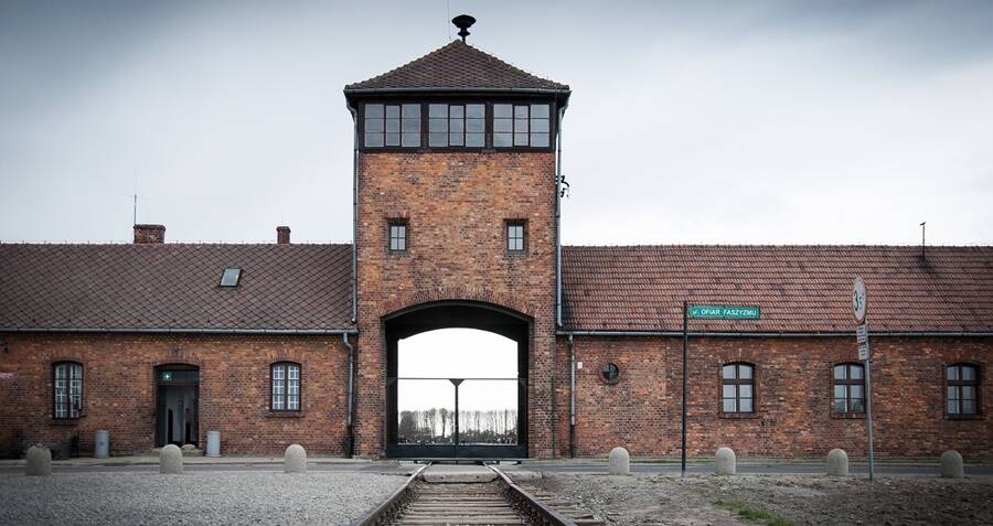 Couple Held Captive In Auschwitz Together Finally Reunited 72 Years Later
