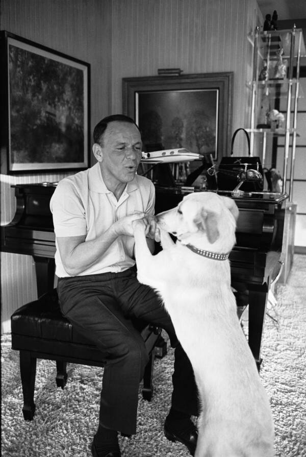 23 Photos Of Celebrities And Their Dogs That'll Melt Your Heart