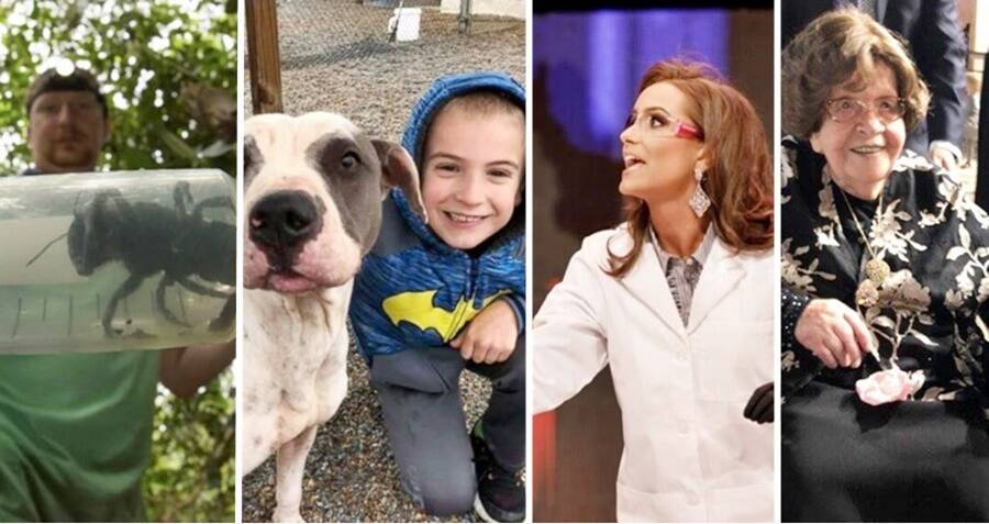 11 Happy News Stories From 2019 That'll Warm Your Heart