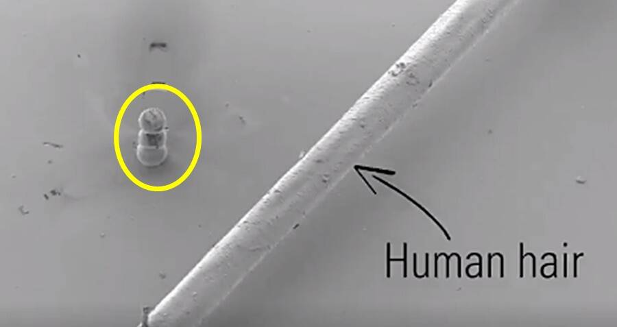 Scientist Creates The World's Smallest 'Gingerbread House'