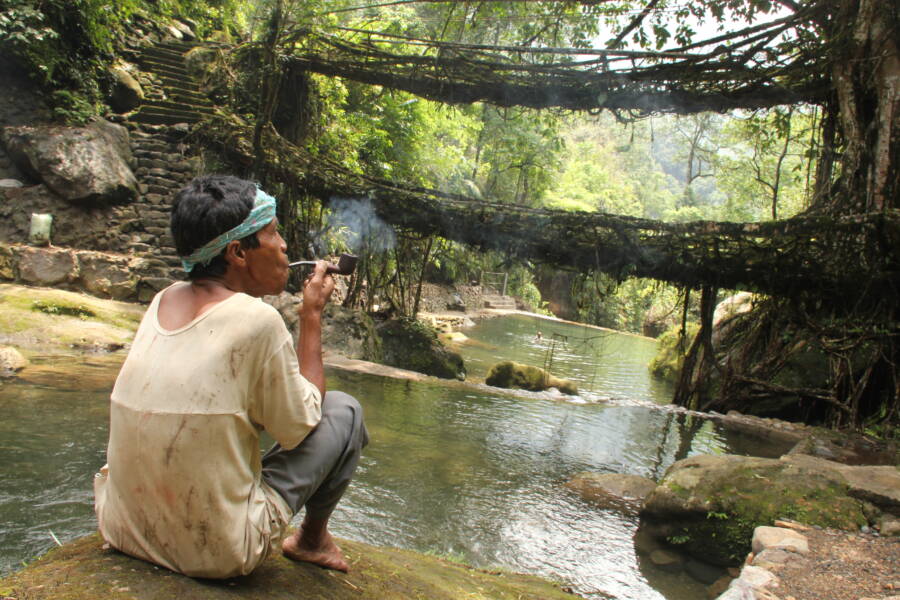 India's Living Root Bridges Could Be The Future of Green Design