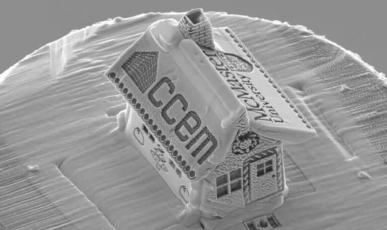 Scientist Creates The World's Smallest 'Gingerbread House'