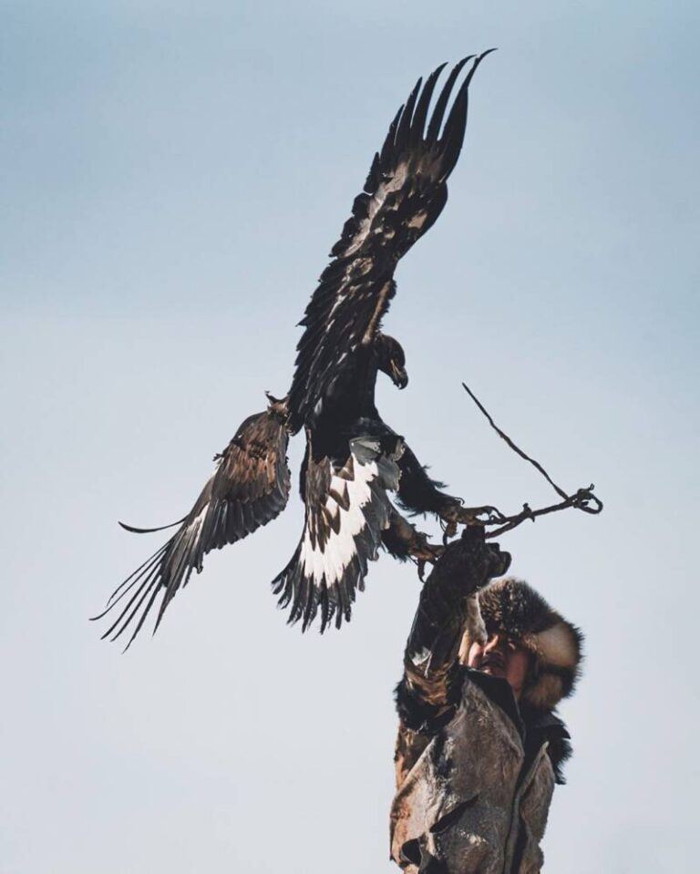 Jaw-Dropping Photos Of Mongolia's Golden-Eagle Hunters