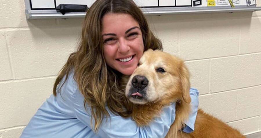 CEO Buys $6 Million Super Bowl Ad To Thank Vets For Saving His Dog