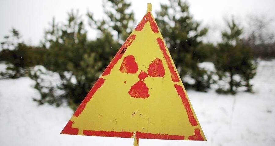 Scientists Find Radiation-Eating Black Fungi At Chernobyl