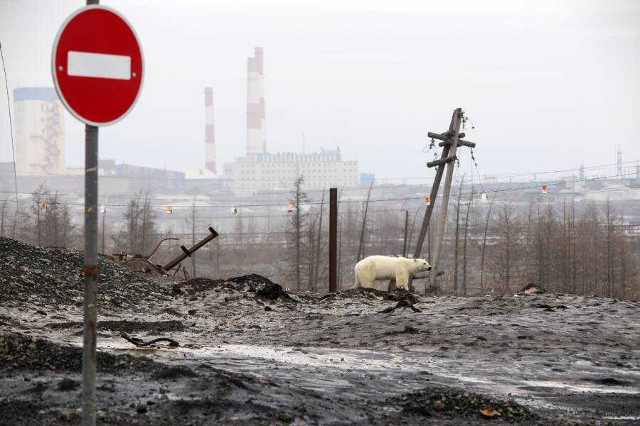 Norilsk, Russia: 32 Photos Of The Polluted Siberian City At The Edge Of ...