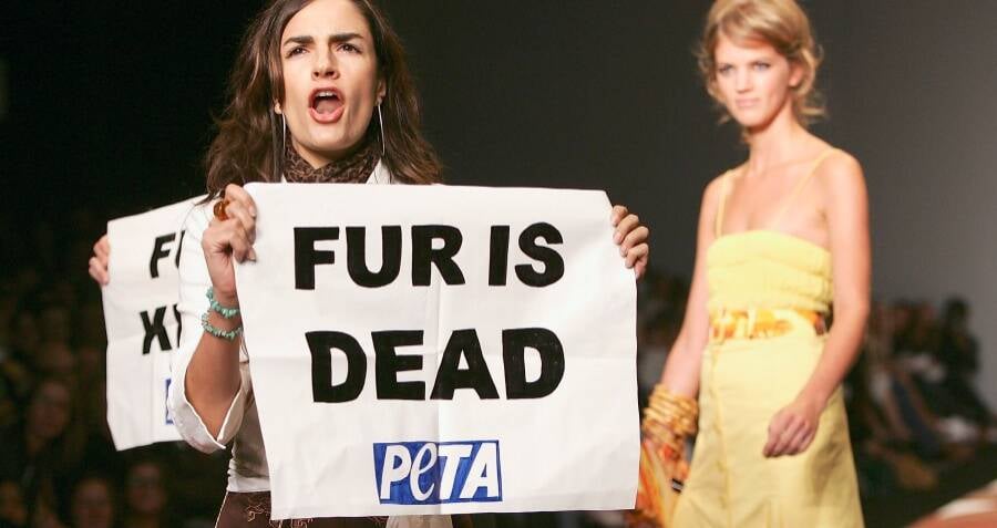 Is Calling Domesticated Animals 'Pets' Demeaning? You Bet, Says PETA.
