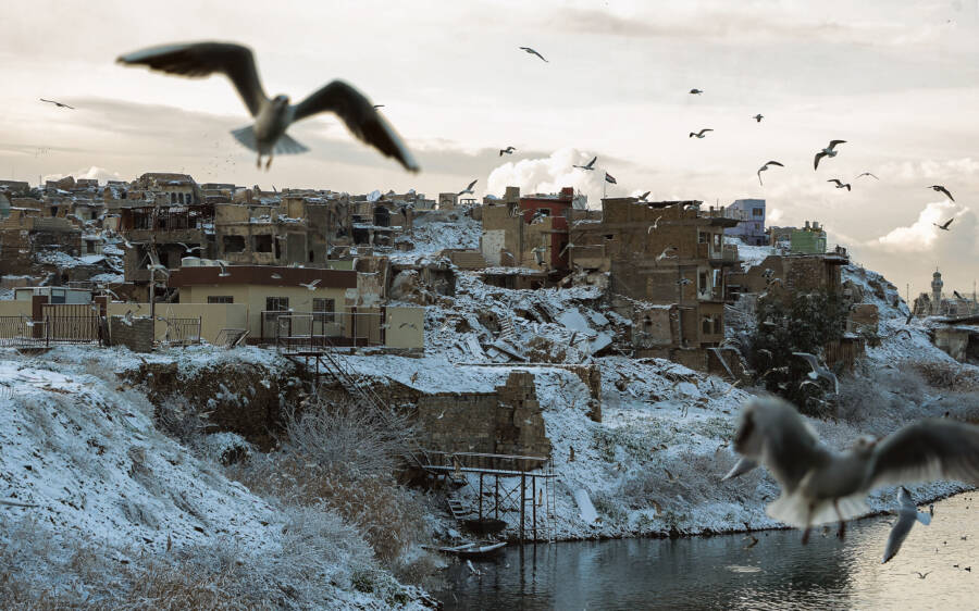 Snow Blankets Iraq For Just The Second Time In 100 Years