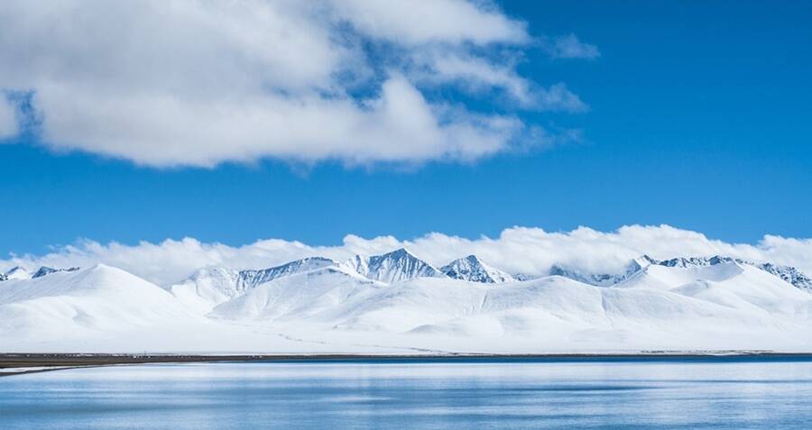 Scientists Baffled By Chlamydia Discovery In The Deep Arctic Ocean