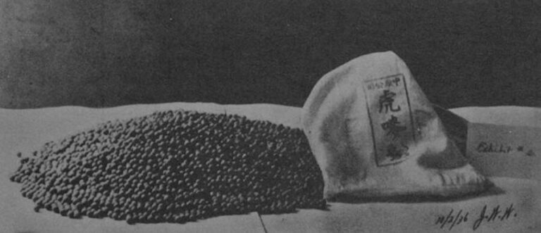 How Japan Funded Its Army With Drug Money During World War 2