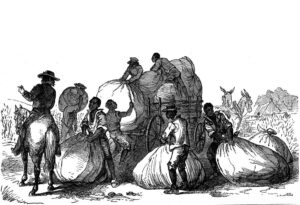 The Untold Story Of The 1842 Cherokee Slave Revolt