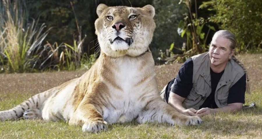 Why Doc Antle May Be The Greatest Villain In 'Tiger King'