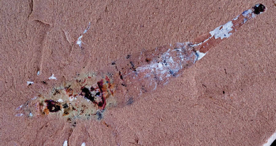 Scientists Reveal 'Most Dangerous Place In The History Of Planet Earth'