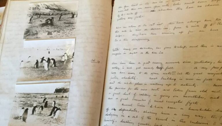 Antarctic Explorer's Century-Old Journal Describes 'Perverted' Penguins