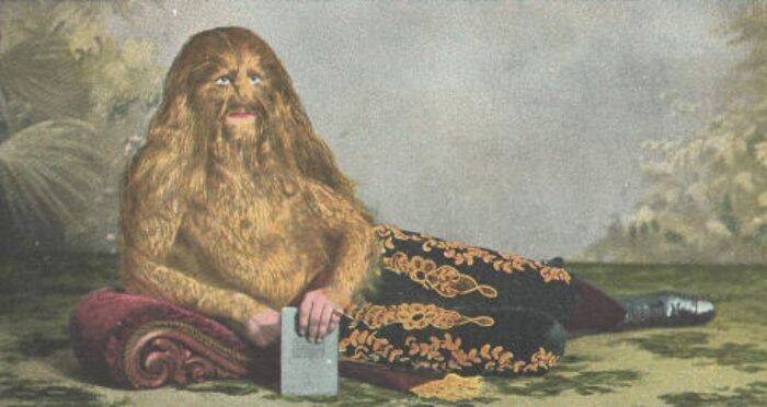 Stephan Bibrowski, A Sideshow Performer Known As The 'Lion-Faced Man'