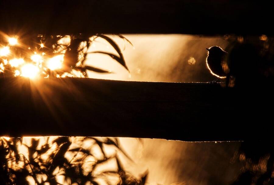 23 Stunning Nature Photographs That Will Take Your Breath Away