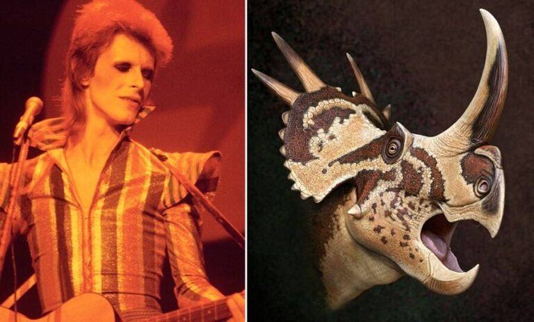 New Dinosaur With Star-Like Skull Named After David Bowie