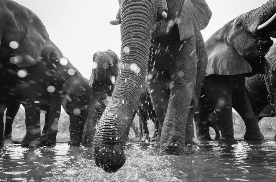 23 Stunning Nature Photographs That Will Take Your Breath Away