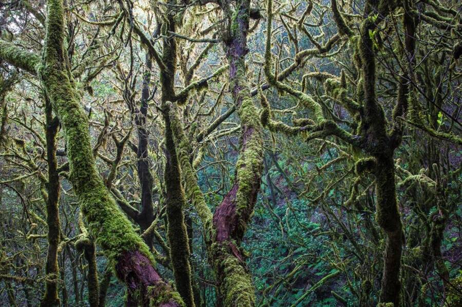 23 Stunning Nature Photographs That Will Take Your Breath Away