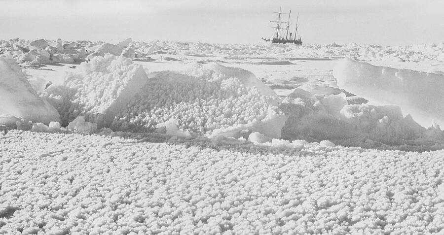 Ernest Shackleton And His Daring Expeditions Into The Antarctic