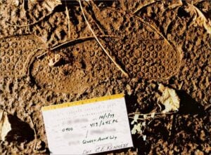 Inside Sharon Marie Huddle's Life As The Golden State Killer's Wife