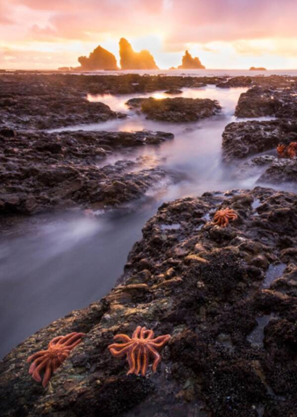 23 Stunning Nature Photographs That Will Take Your Breath Away