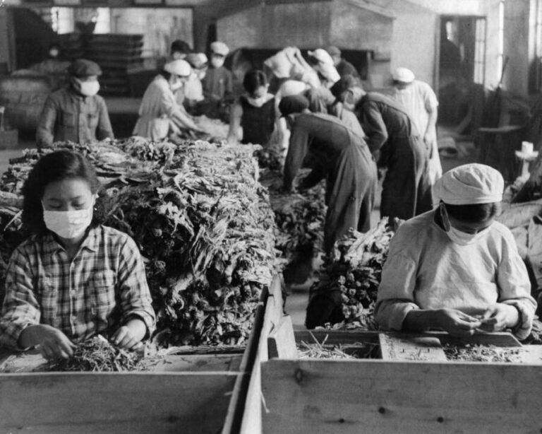 How Japan Funded Its Army With Drug Money During World War 2