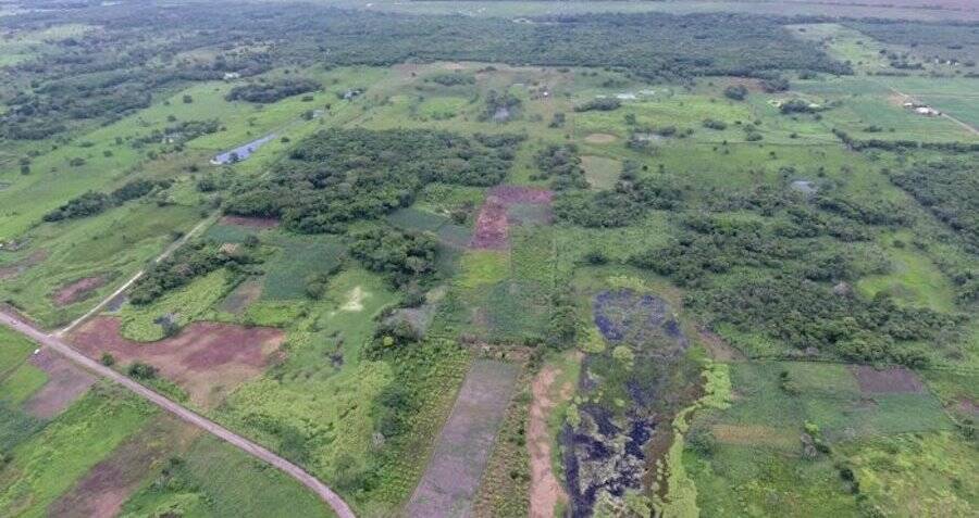 Oldest And Largest-Known Mayan Complex Found In Mexico