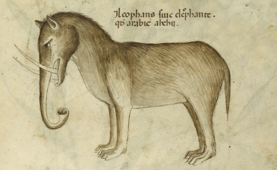 Scientific Drawings Of Mythical Creatures We Thought Were Real