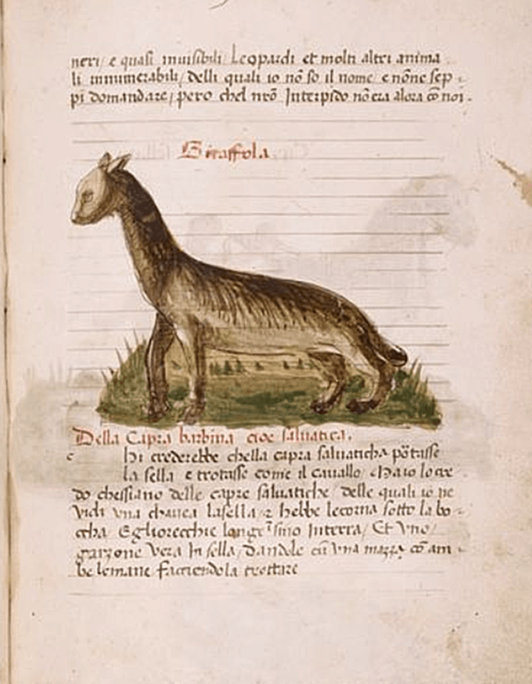 Scientific Drawings Of Mythical Creatures We Thought Were Real