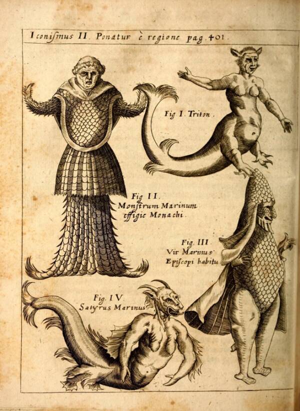 Scientific Drawings Of Mythical Creatures We Thought Were Real